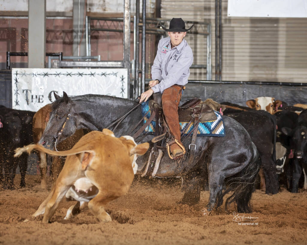 BOONIFIED - SDP Buffalo Ranch