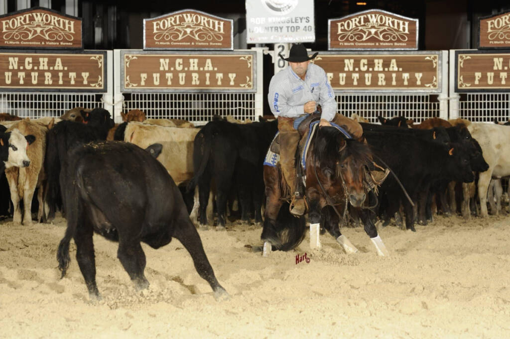 CR HIGHLIGHT - SDP Buffalo Ranch