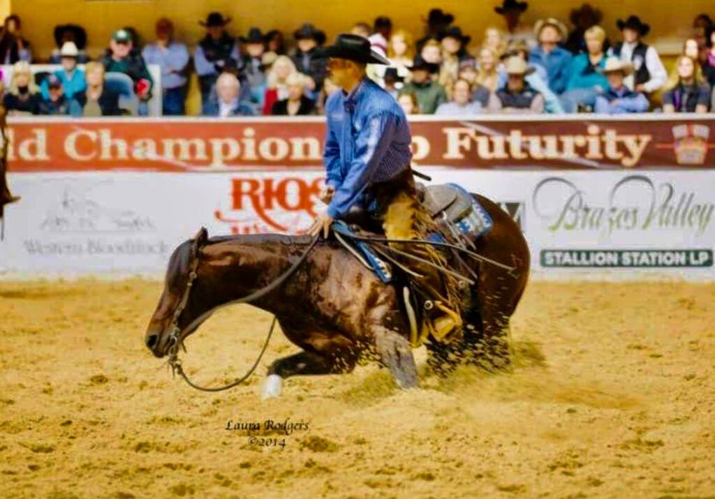 CR HIGHLIGHT - SDP Buffalo Ranch