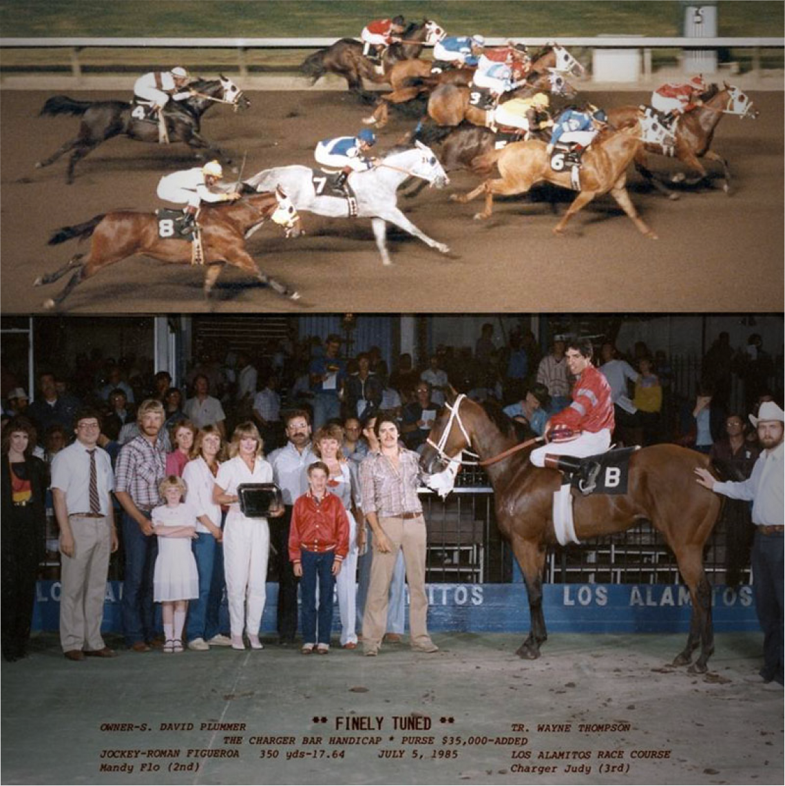 History - SDP Buffalo Ranch