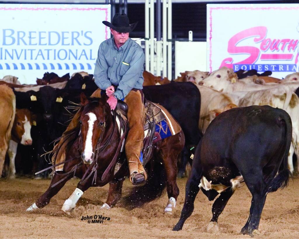 REY DUAL - SDP Buffalo Ranch