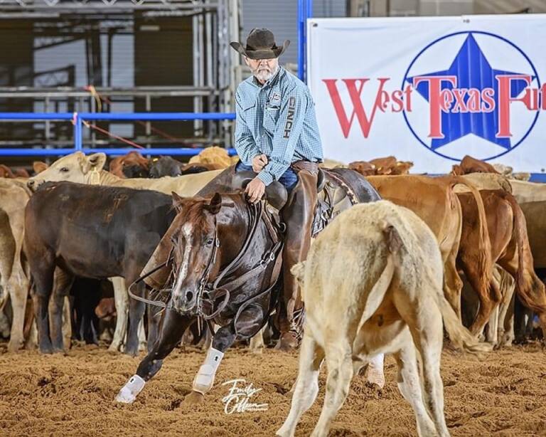 SINN CITY - SDP Buffalo Ranch