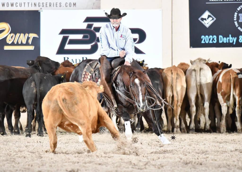 SINN CITY - SDP Buffalo Ranch