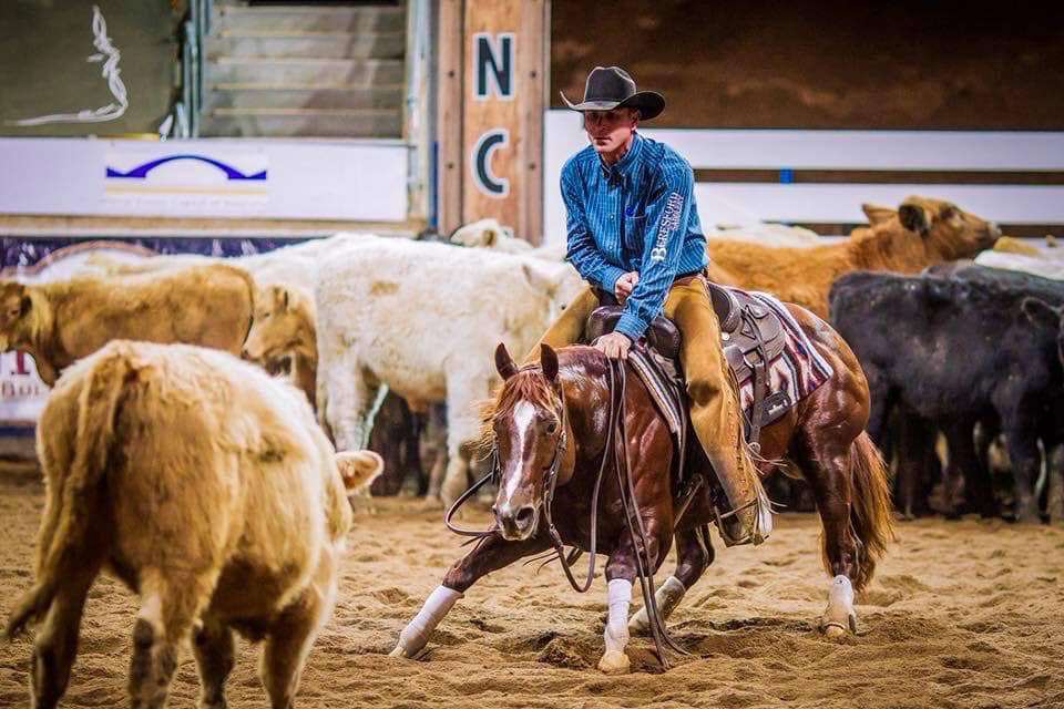 TAPT DANCIN CAT - SDP Buffalo Ranch