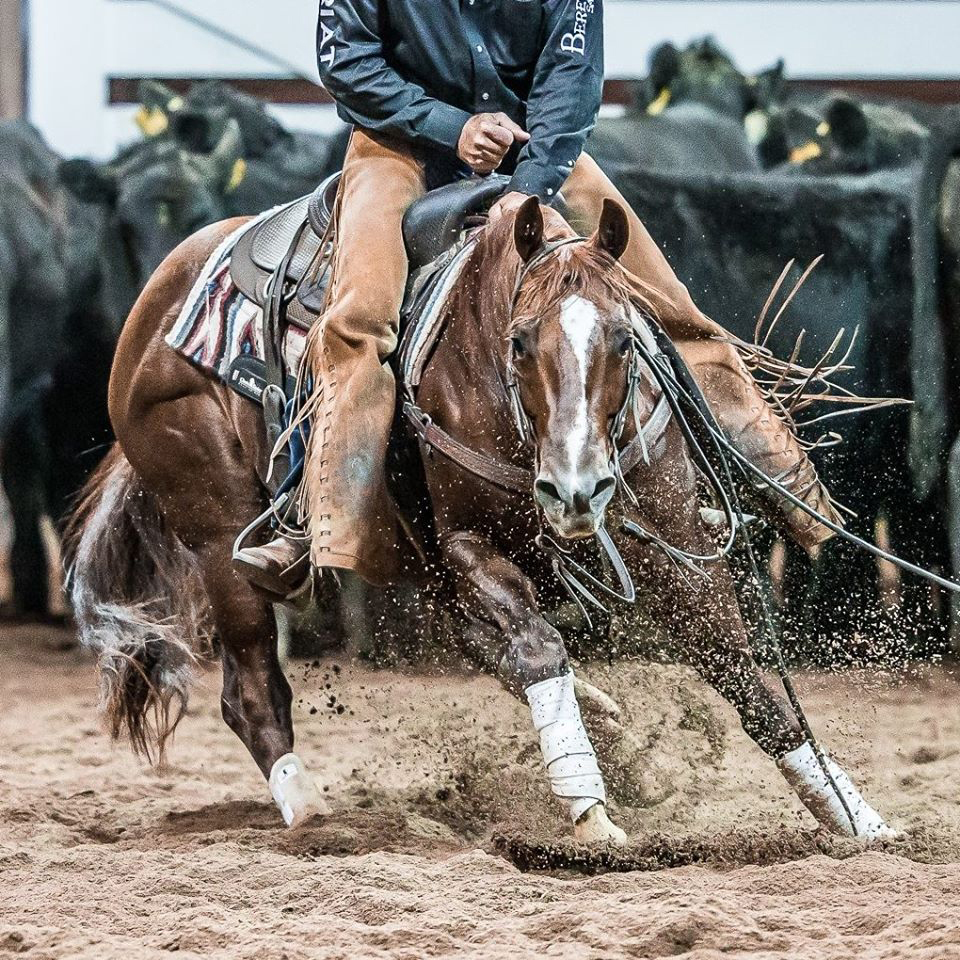 TAPT DANCIN CAT - SDP Buffalo Ranch
