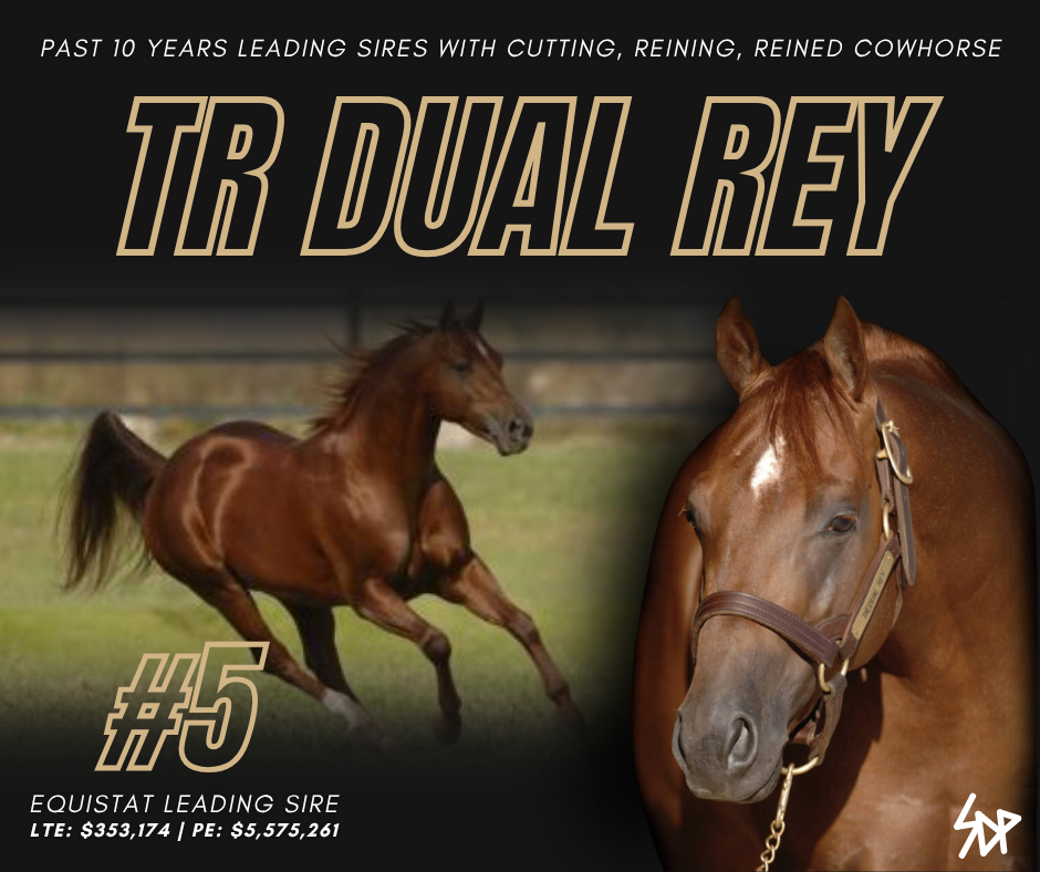 TR DUAL REY - SDP Buffalo Ranch